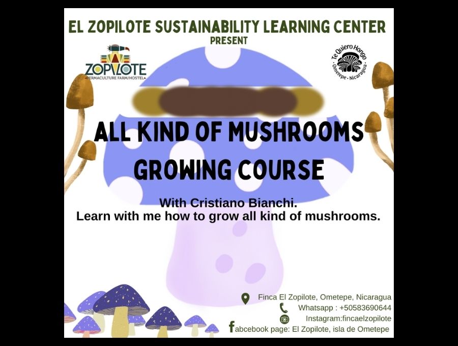 All-Kind Mushroom Growing Course (Next Course To Be Announced) - Zopilote
